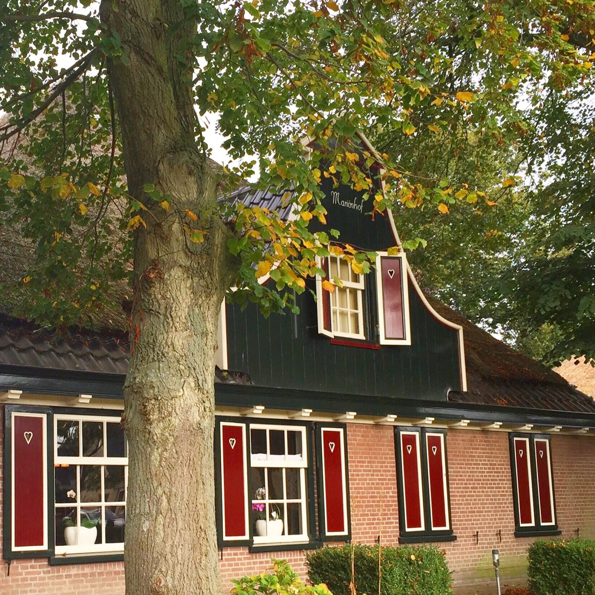 Lovely Dutch Cottage